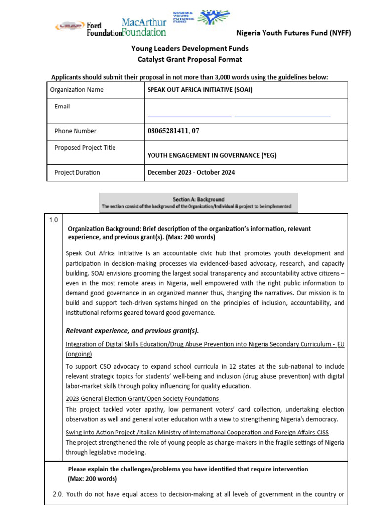 NYFF YLDF 2023 2024 Proposal Template Catalyst Grantee Cat | PDF | Governance | Civic Engagement