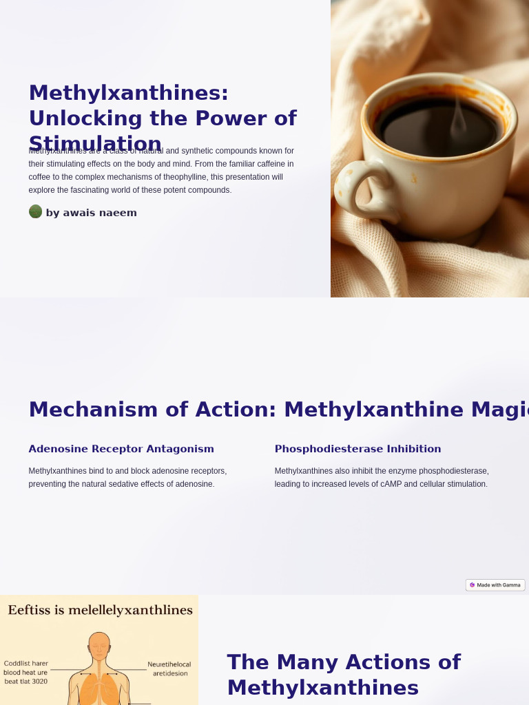 Methylxanthines Unlocking The Power of Stimulation | PDF | Nicotine ...