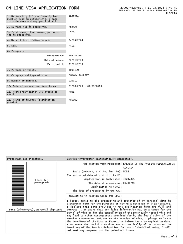 Russian Visa Application Form Guide | PDF | Travel Visa | Passport