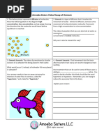 Video Recap of Osmosis by Amoeba Sisters Answer Set | PDF | Osmosis ...
