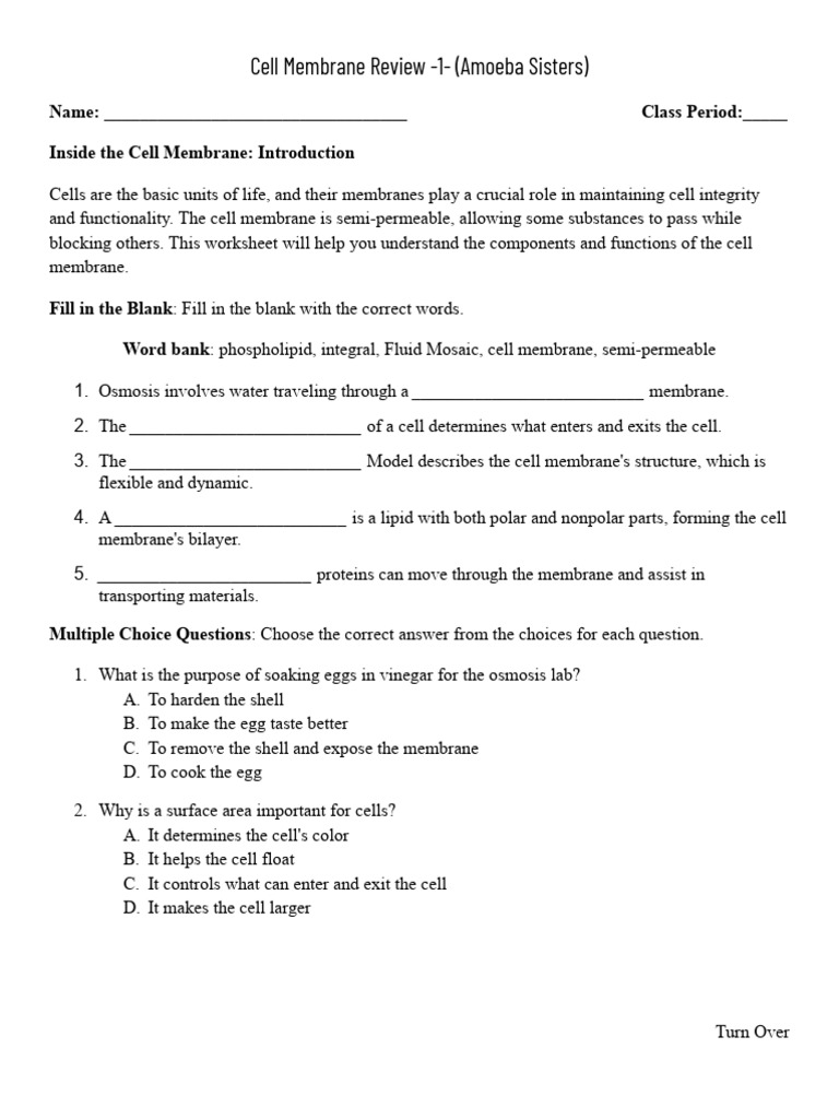 4 - (1) Cell Membrane Review | PDF | Cell Membrane | Cell (Biology)