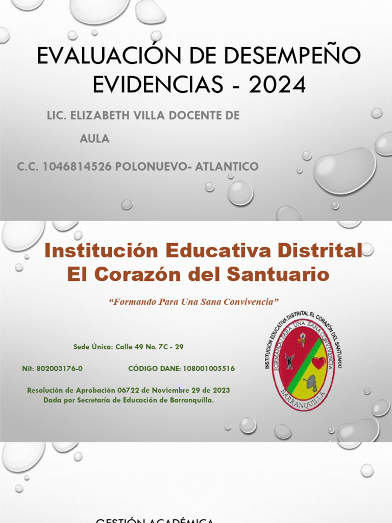Competencias Elizabeth Villa | PDF | Evaluación | Enseñando