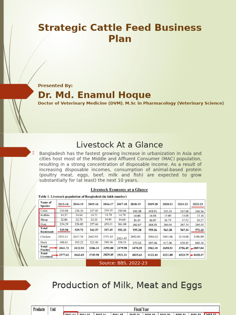 Cattle Feed Business Plan Bangladesh | PDF | Brand | Cattle