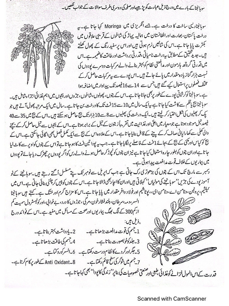 Home Work Revsion Work Sheet Exam Practice | PDF