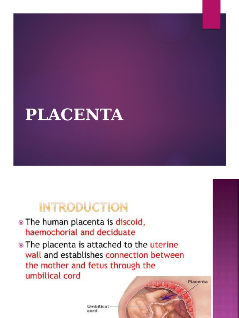 placenta ppt | PDF