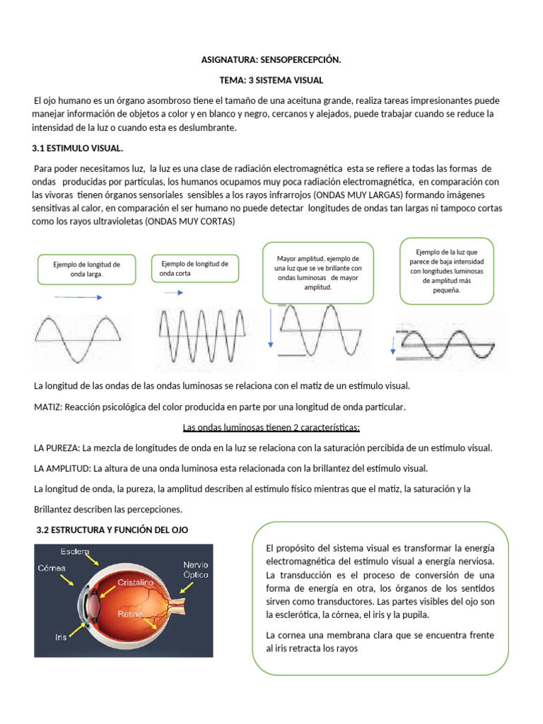 Psicologia Estimulo Visual. | PDF | Percepción visual | Ojo humano