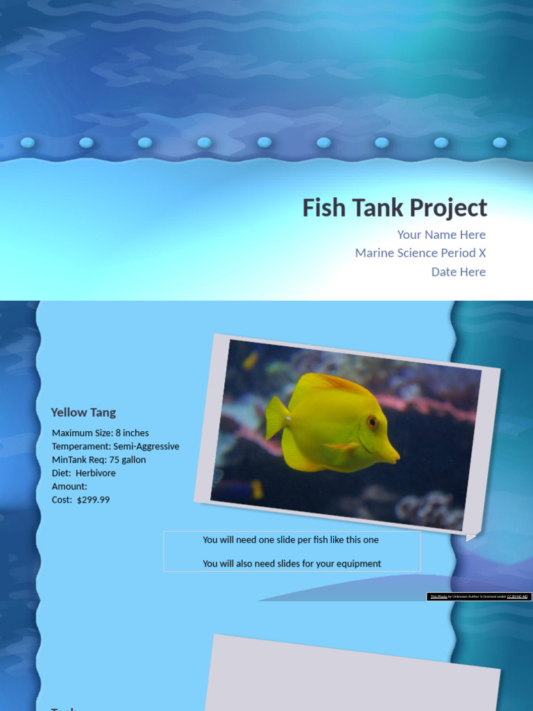Fish Tank Project Template | PDF