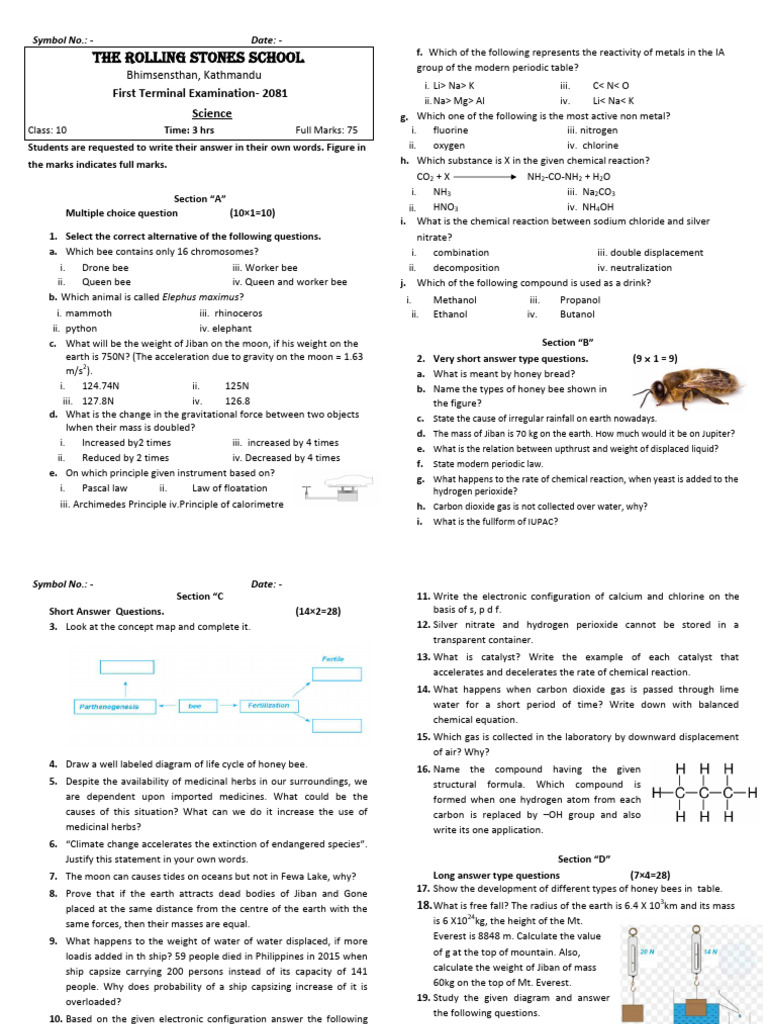 Class 10 Science First Term | PDF