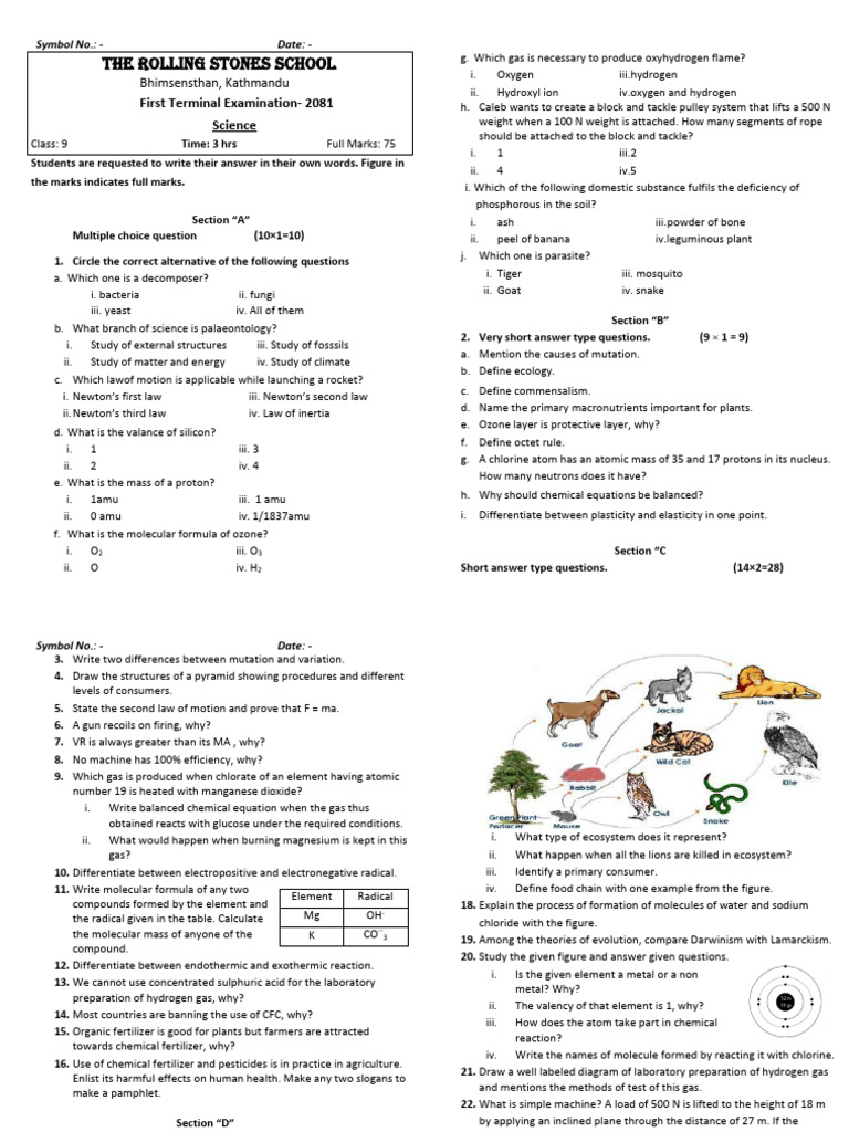Class 9 Science First Term | PDF | Chemical Compounds | Molecules