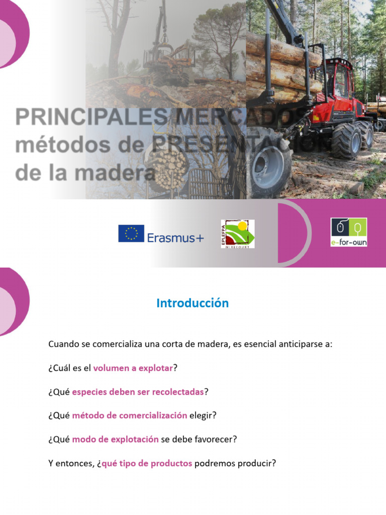 38 - Principales Mercados y Metodos de Presentacion de La madera-ES ...