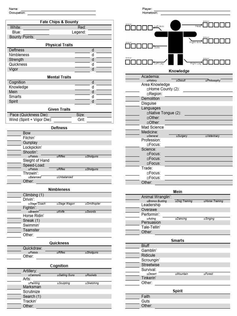 DL - Character Sheet (Custom) | PDF | Projectile Weapons | Ballistics
