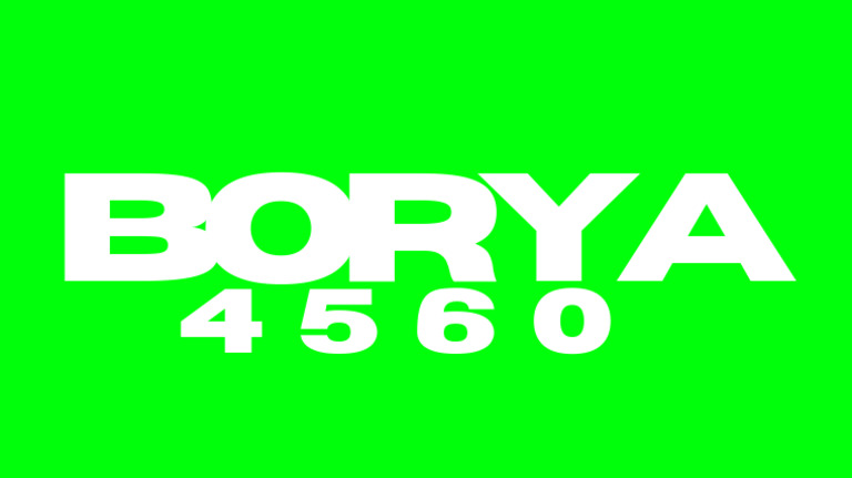 Borya 4560 | PDF