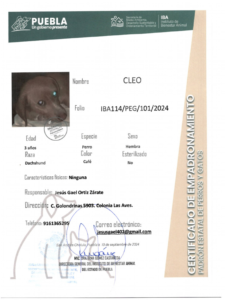 Cleo | PDF