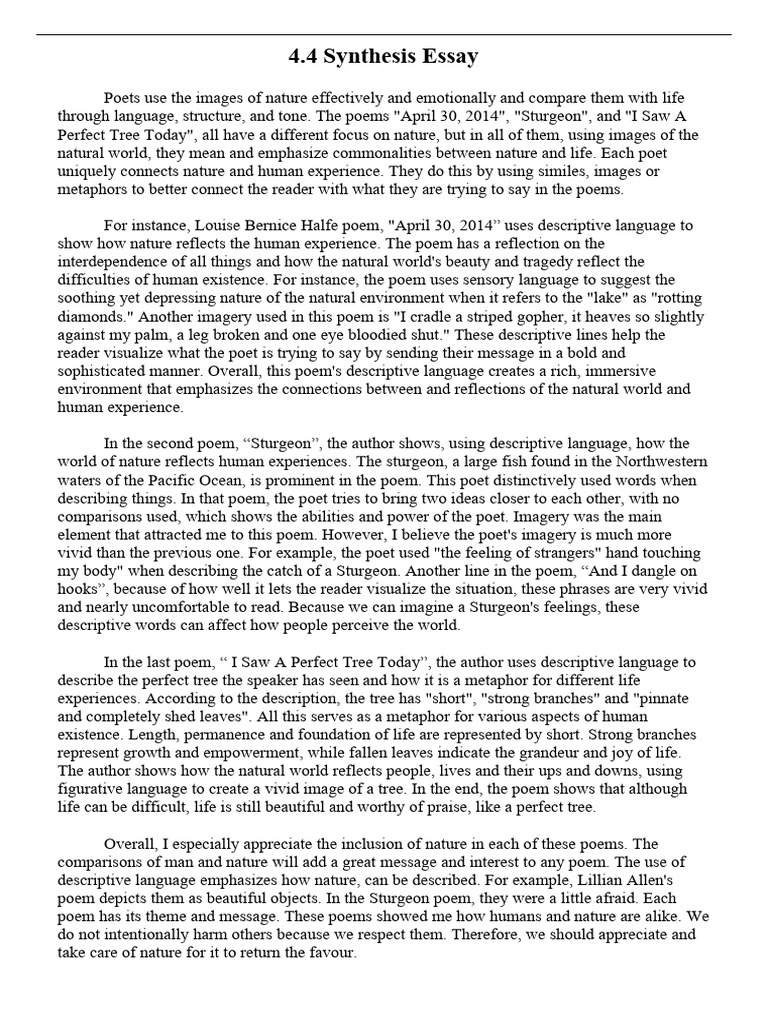4.4 Synthesis Essay PDF | PDF | Poetry | Metaphor