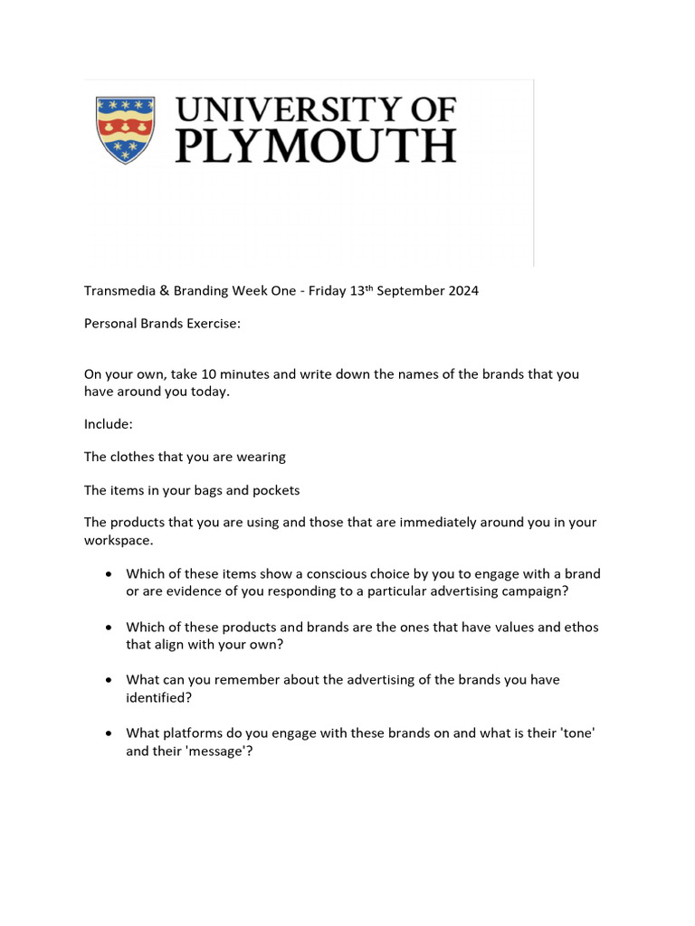 Transmedia Branding Exercise - 13th Sept 2024 | PDF