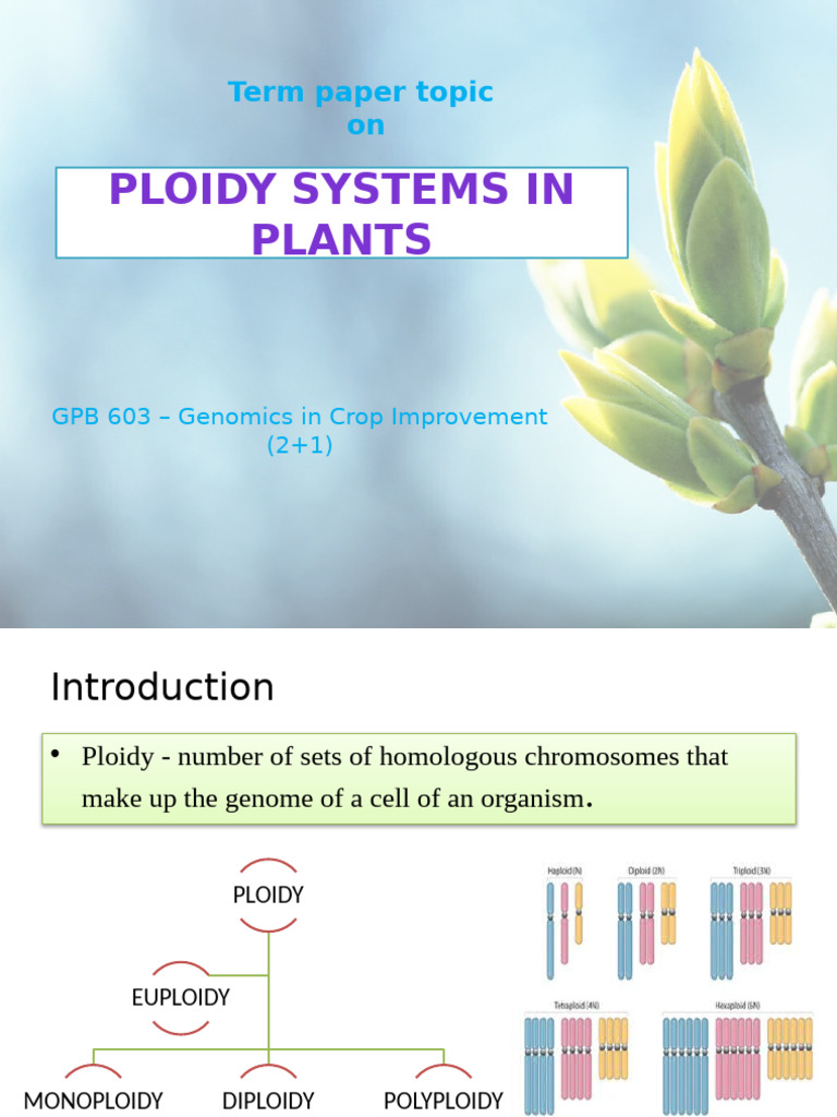 Ploidy System in Plants | PDF | Ploidy | Gene Duplication