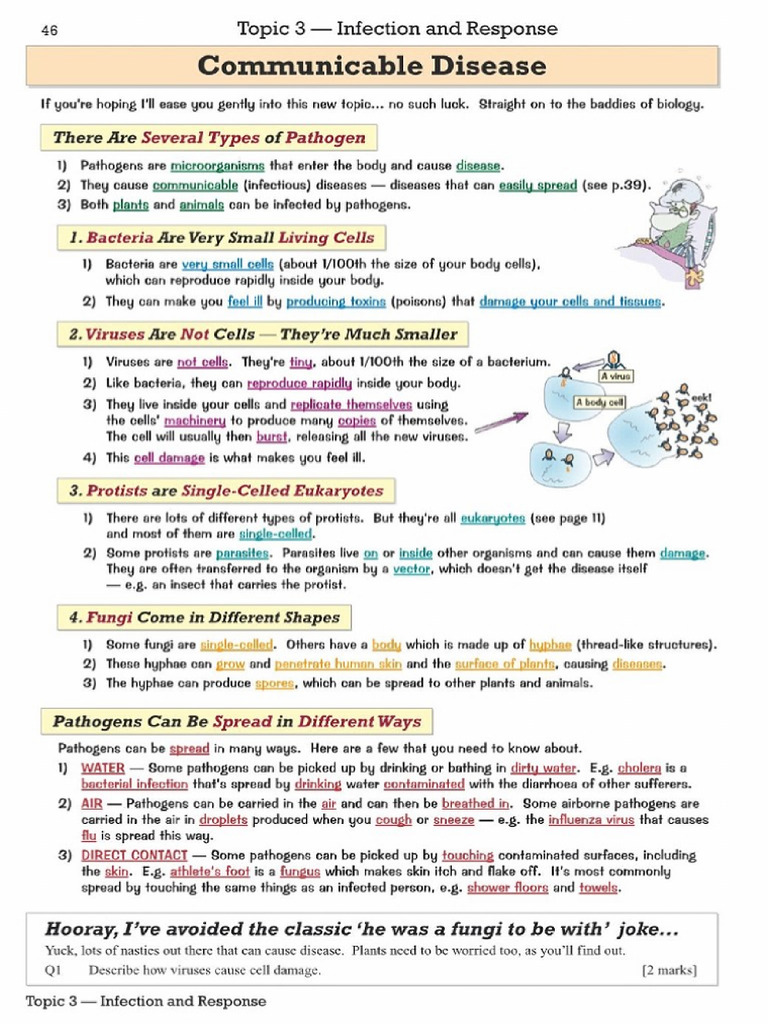 CGP GCSE Biology AQA Revision Guide-52-62 | PDF | Vaccines | Measles
