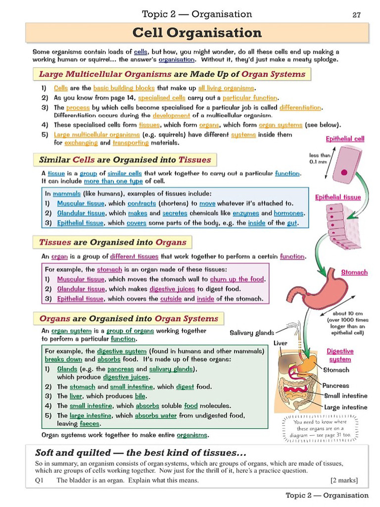 Cgp Gsce Biology Aqa Revision Guide Pdfdrive 33 51 Pdf