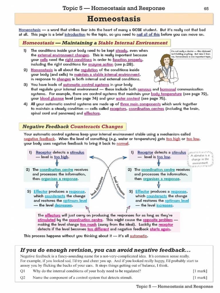 CGP GSCE Biology AQA Revision Guide (PDFDrive) - 71-89 | PDF | Nervous ...