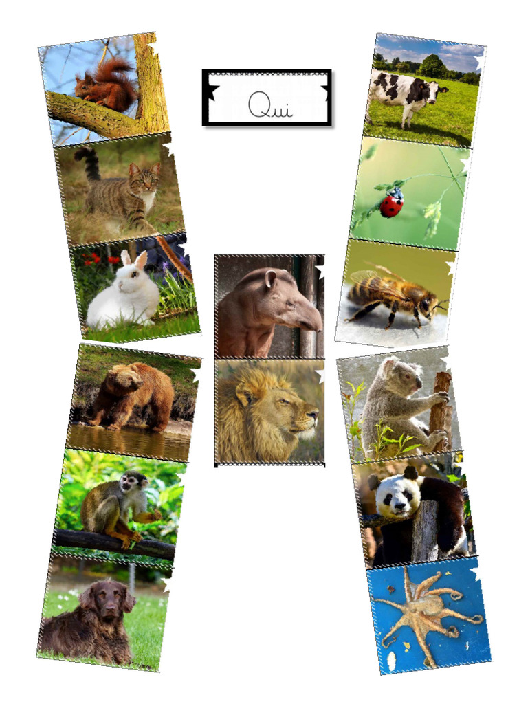 Jeu - qui mange quoi (1) | PDF