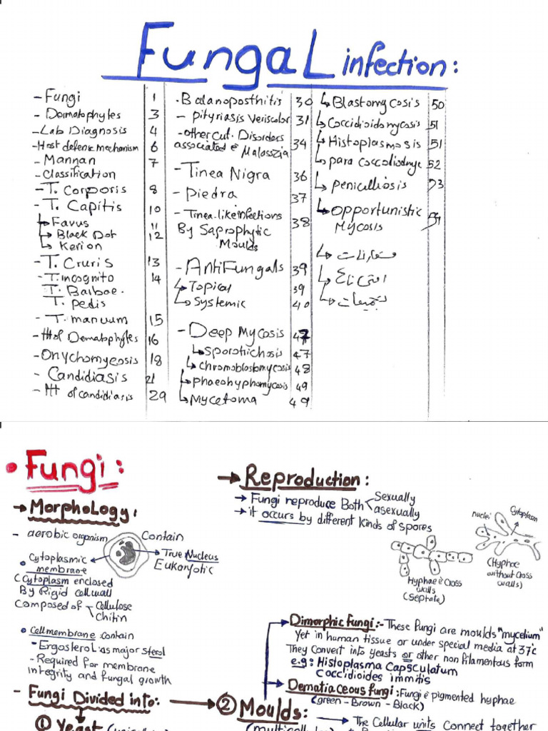 Fungal DR Amylee - Compressed | PDF