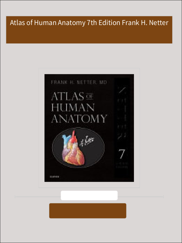 Frank Netter Anatomy Atlas Netter Atlas Of Human Anatomy: Classic
