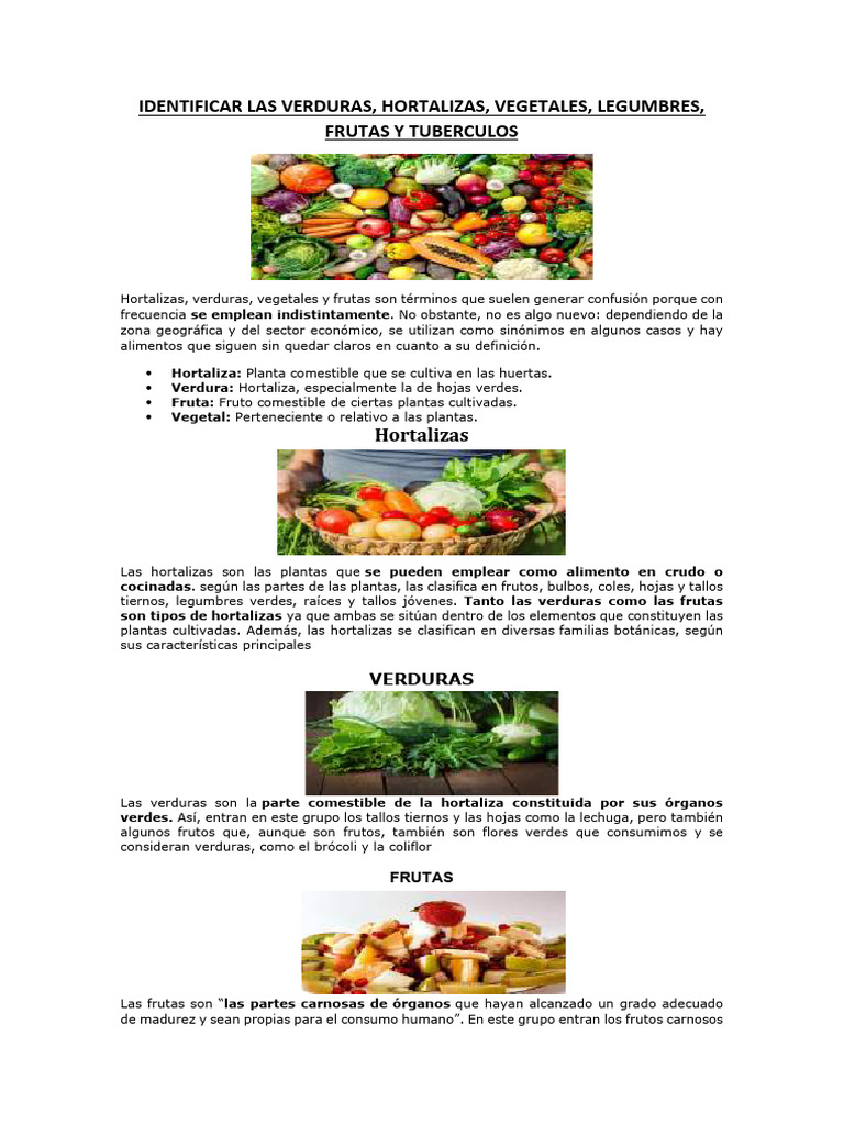 Identificar Las Verduras | PDF | Vegetales | Legumbre