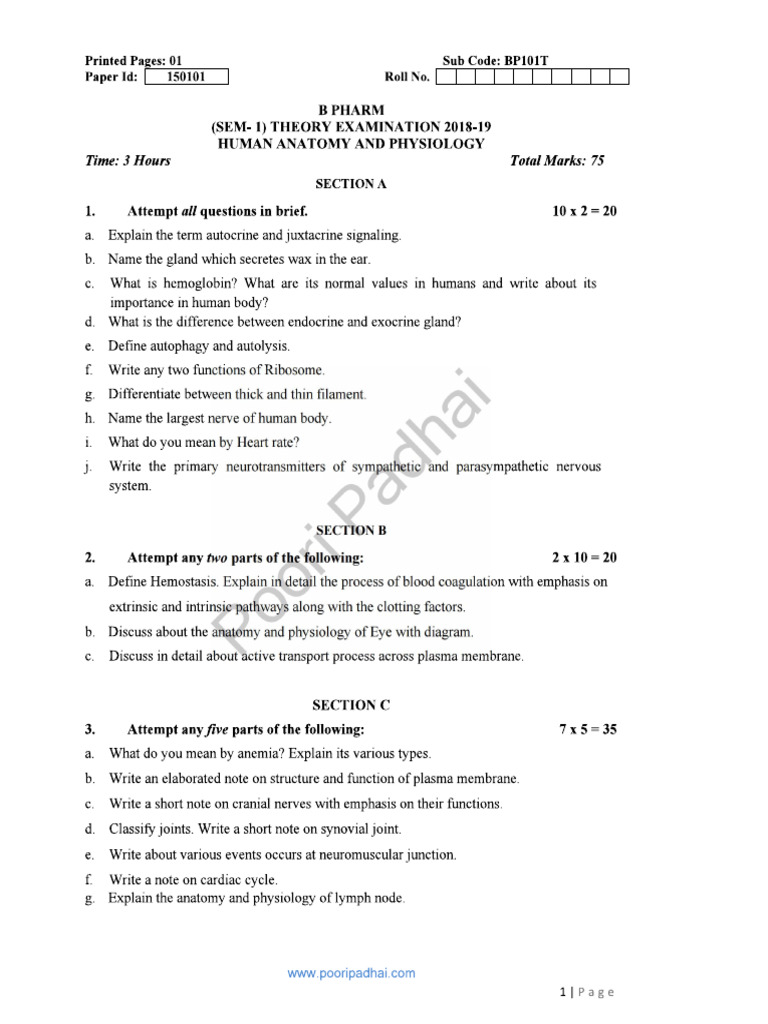 Human Anatomy and Physiology BP 101T | PDF