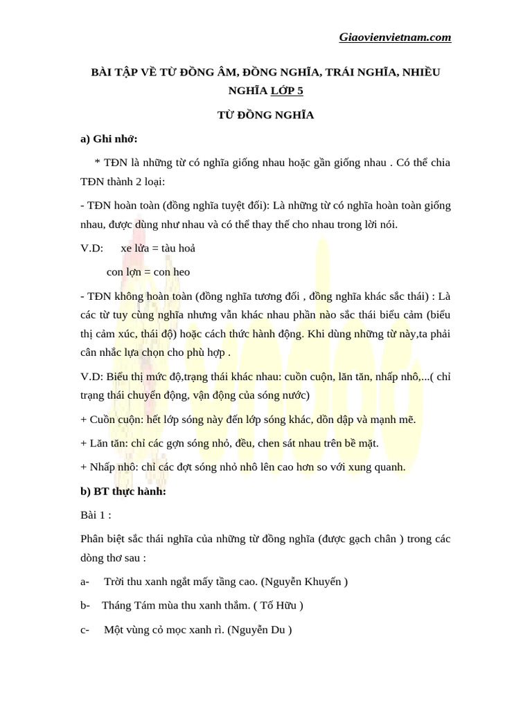 Bai Tap Dong Am Dong Nghia Trai Nghia | PDF