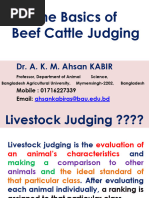 Livestock Judging Techniques Explained | PDF | Livestock | Domesticated ...
