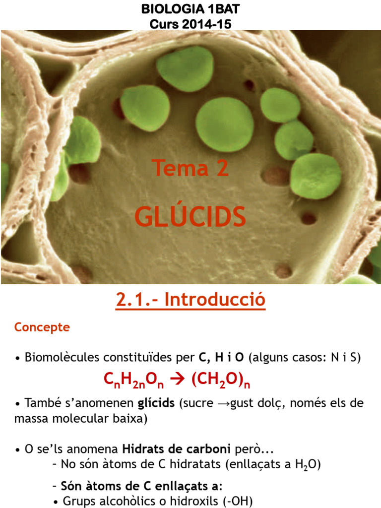 GLÚCIDS | PDF
