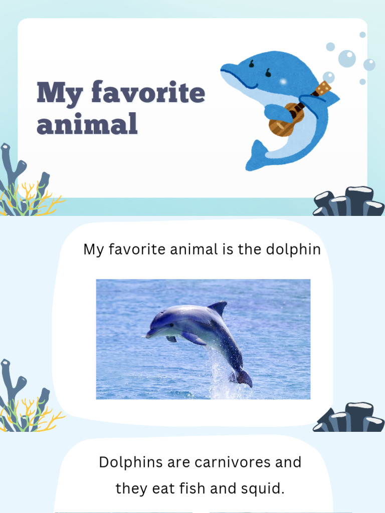 My Favorite Animal | PDF