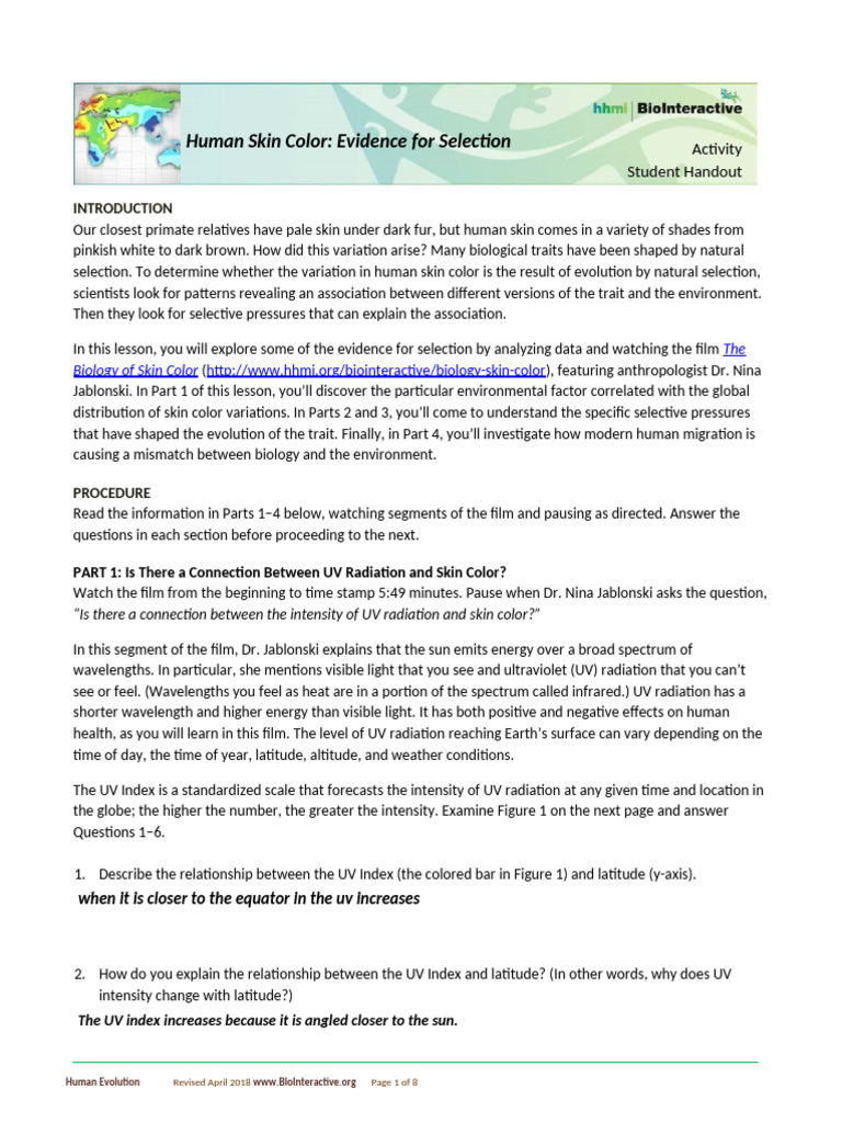 Evolution of Human Skin Color | PDF | Human Skin Color | Ultraviolet