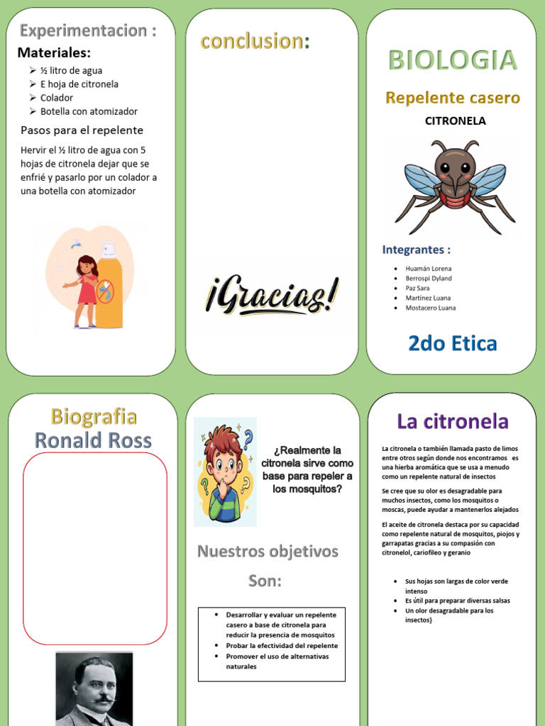 Triptico 2do | PDF | Malaria | Insectos