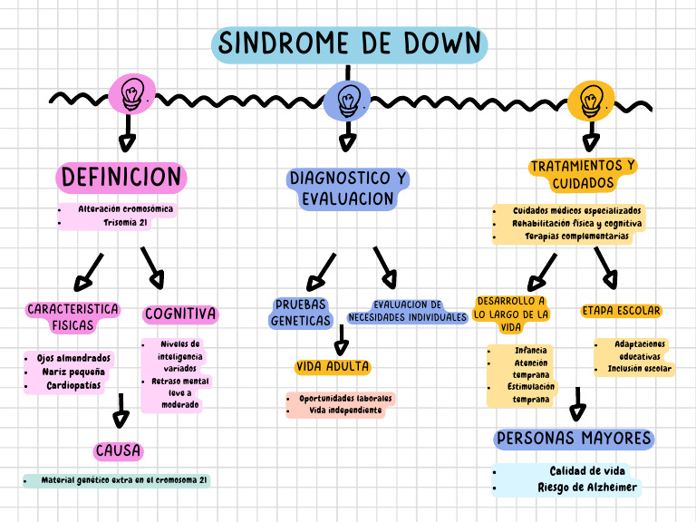 MAPA CONCEPTUAL SINDROME DE DOWN | PDF | Síndrome de Down ...