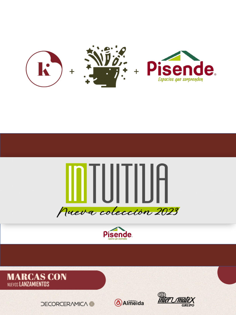 Presentación PISENDE | PDF