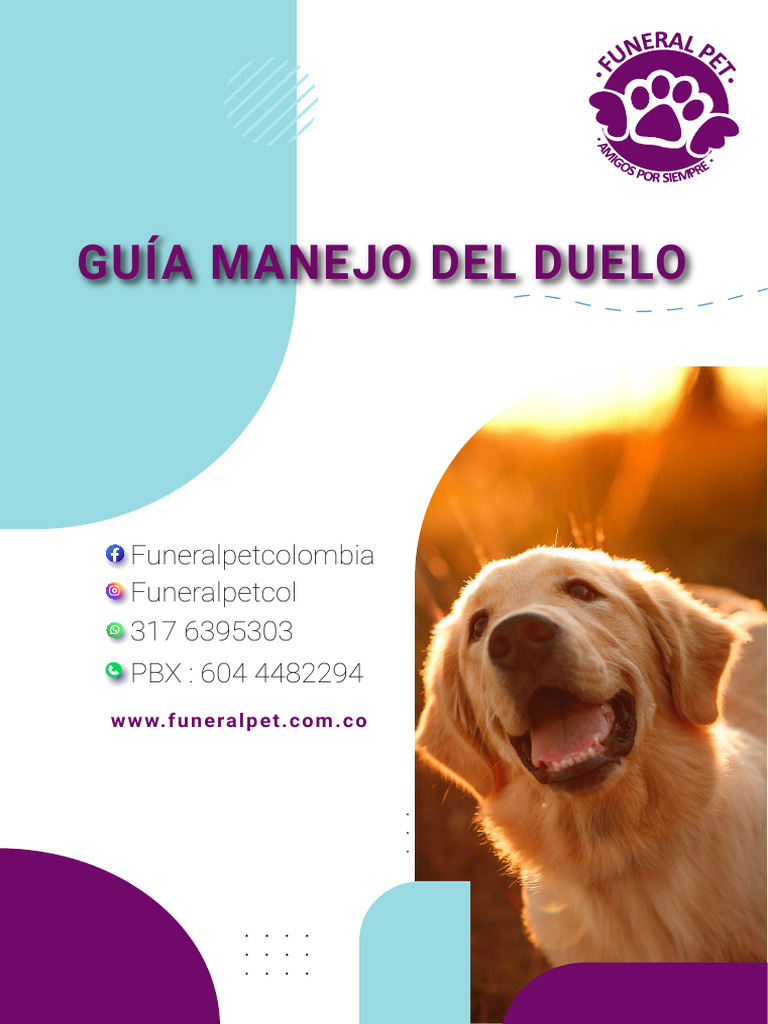 GUIA PARA EL MANEJO DEL DUELO | PDF | Dolor | Las emociones