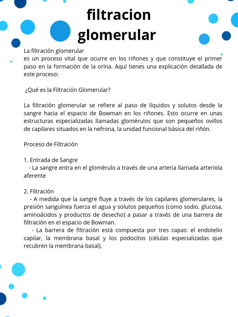 Filtración Glomerular: Proceso y Función | PDF | Riñón | Sistema urinario