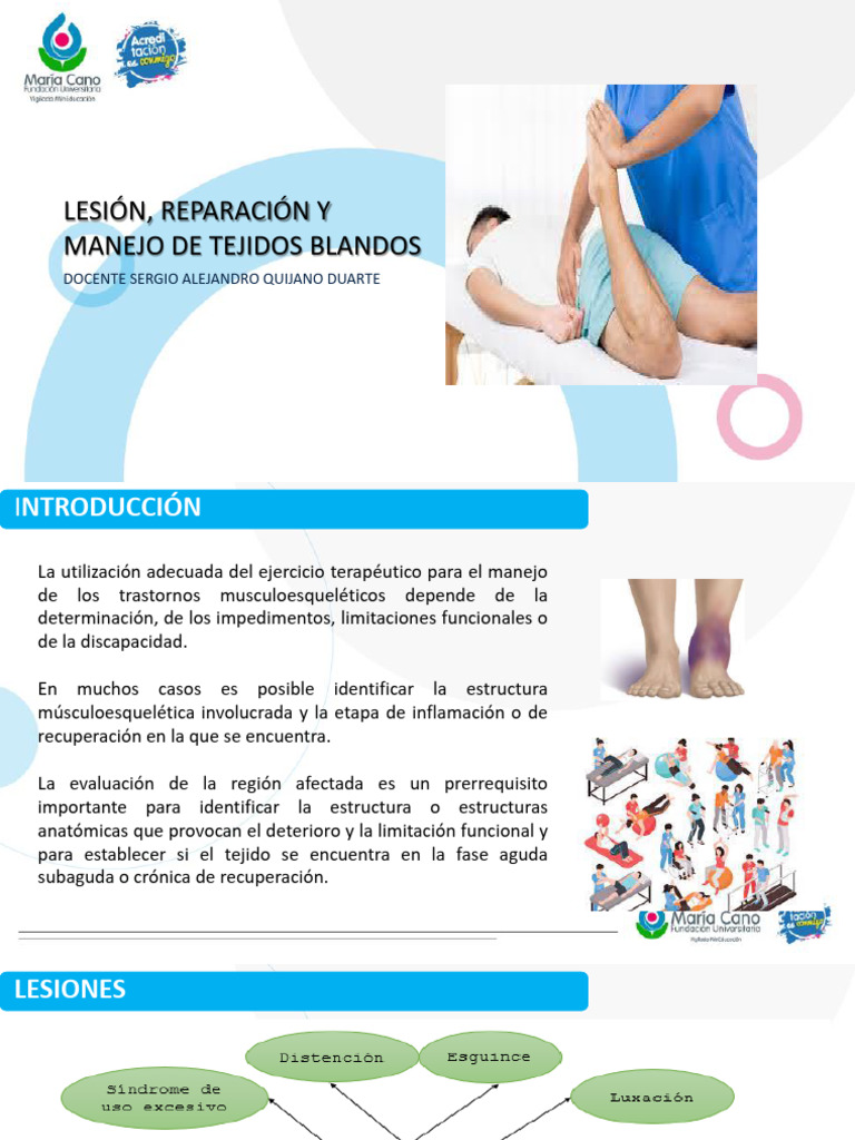 LESIÓN-REPARACIÓN DE TEJIDOS BLANDOS | PDF | Músculo | Tendón