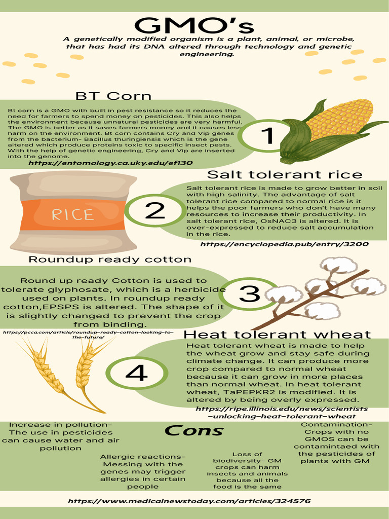 GMO’s | PDF | Genetically Modified Organism | Genetic Engineering
