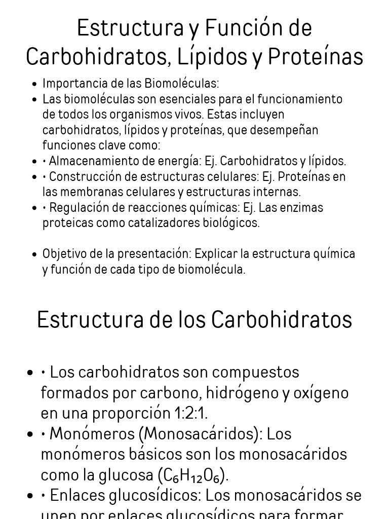 Doc-20241121-Wa0028. 20241121 230015 0000 | PDF | Lípido | Carbohidratos