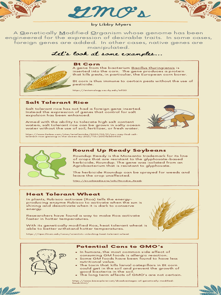 GMO's Infographic Example | PDF | Genetically Modified Crops ...