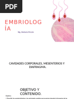 Embriologia Tema 15 Desarrollo de Cavidades Corporales | PDF | Abdomen ...