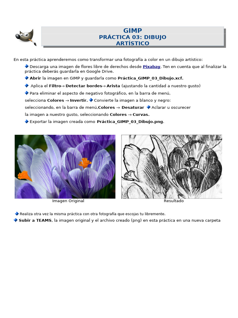 Práctica_03 GIMP 2020 | PDF