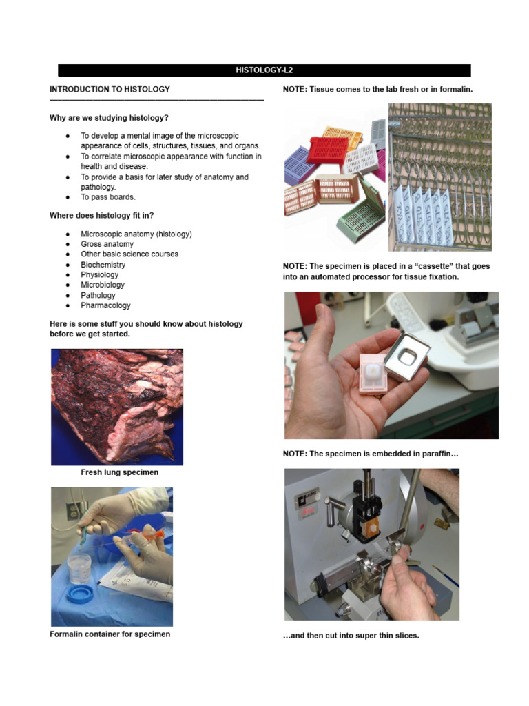 Histology L2 | PDF | Staining | Histology