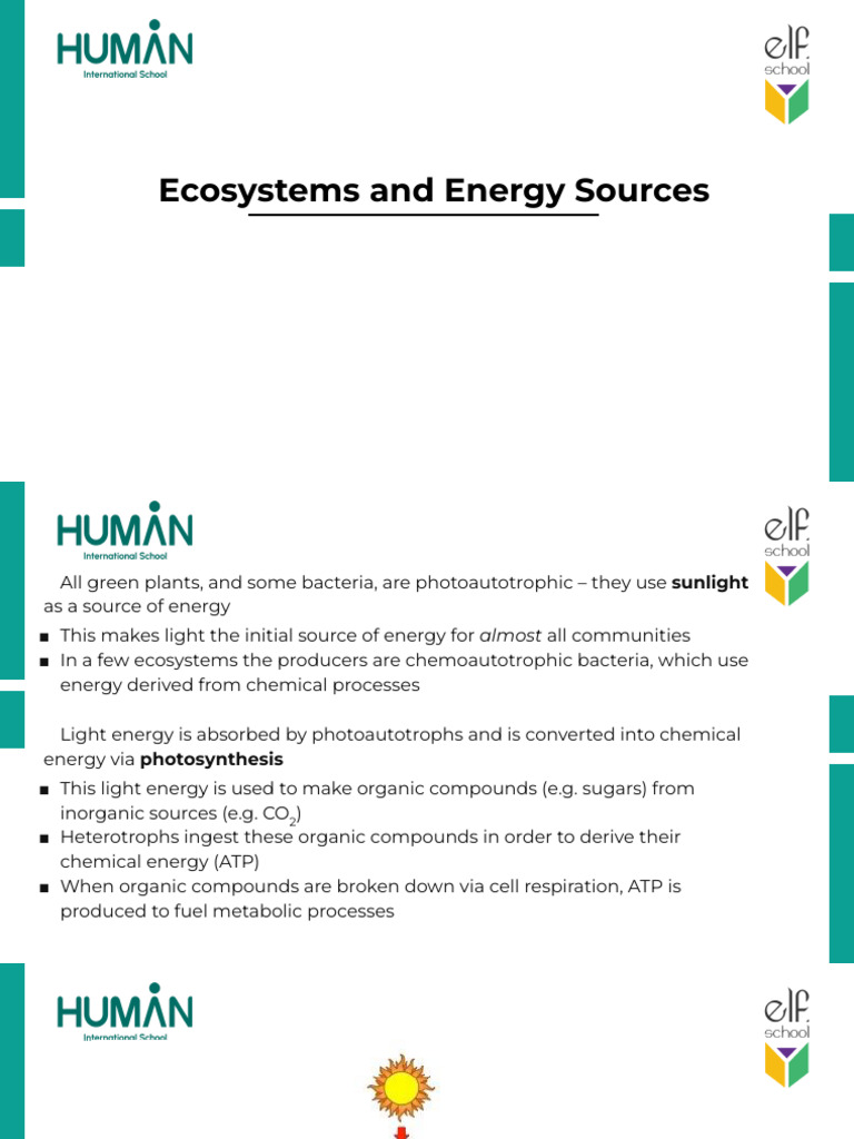 Ecosystems and Energy Sources - Google Slides | PDF | Food Web ...