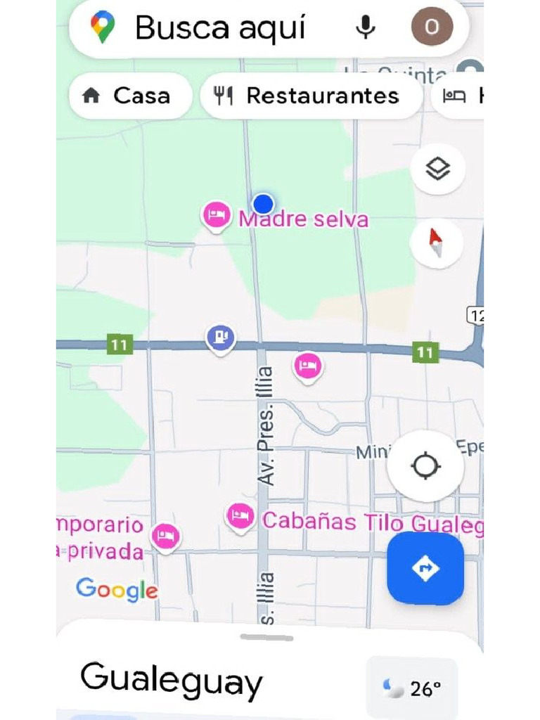 PDFReader 20241126 2129 | PDF