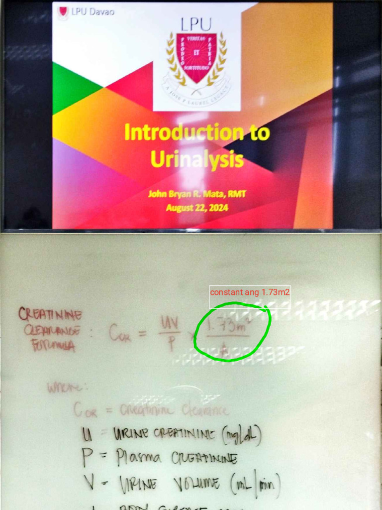 AUBF (IntrotoUrinalysis) | PDF