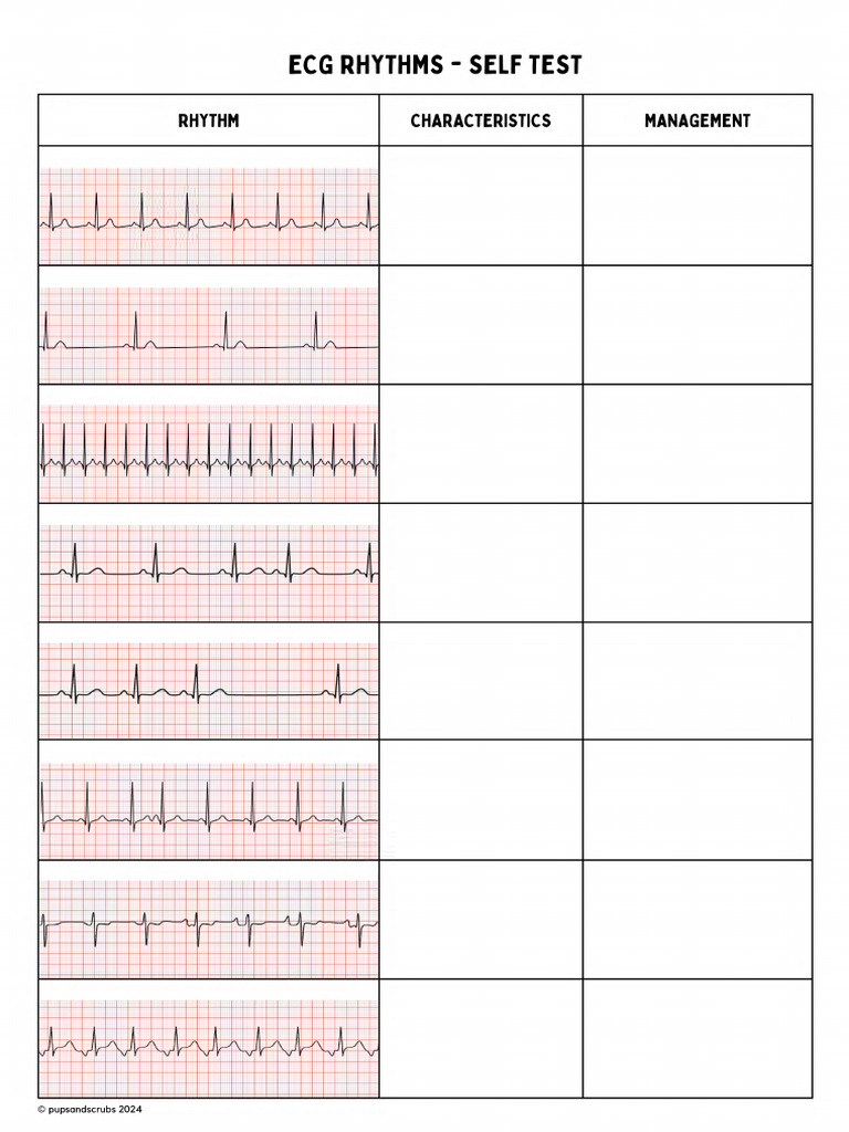 Bonus Self Test Pages | PDF