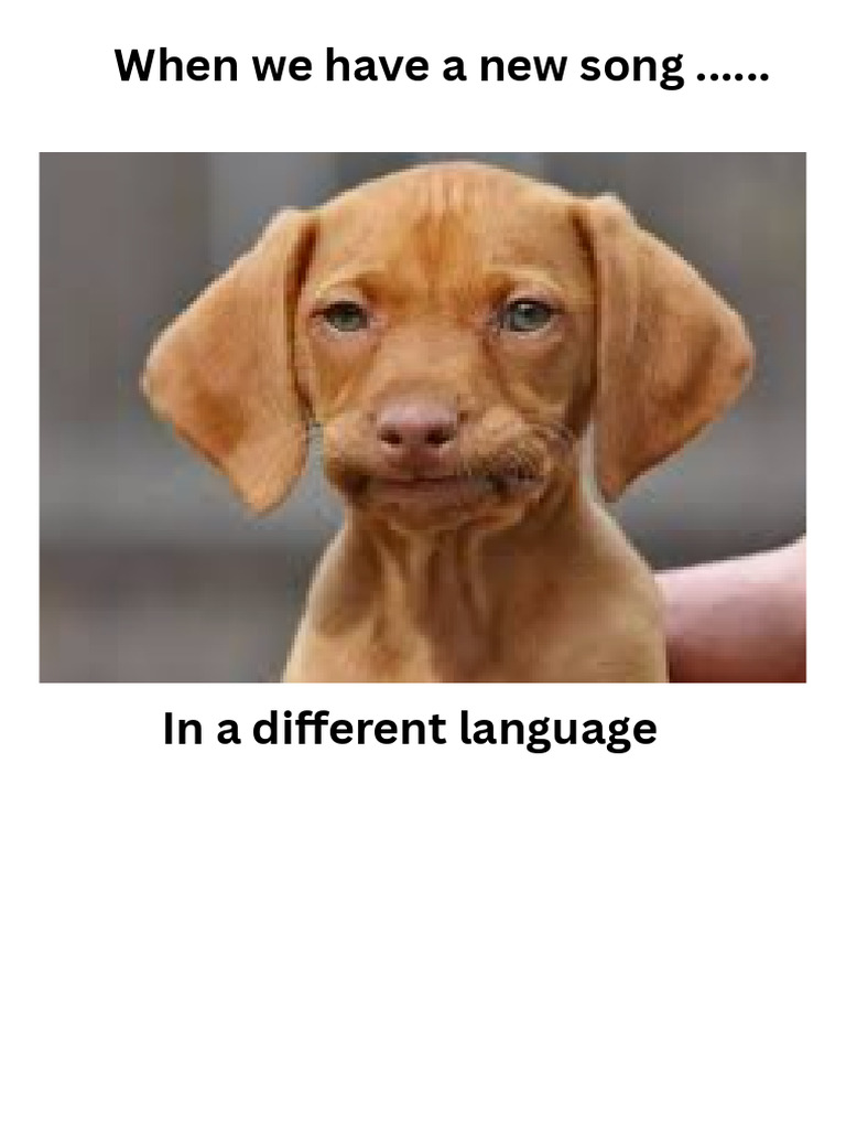 Music Meme | PDF